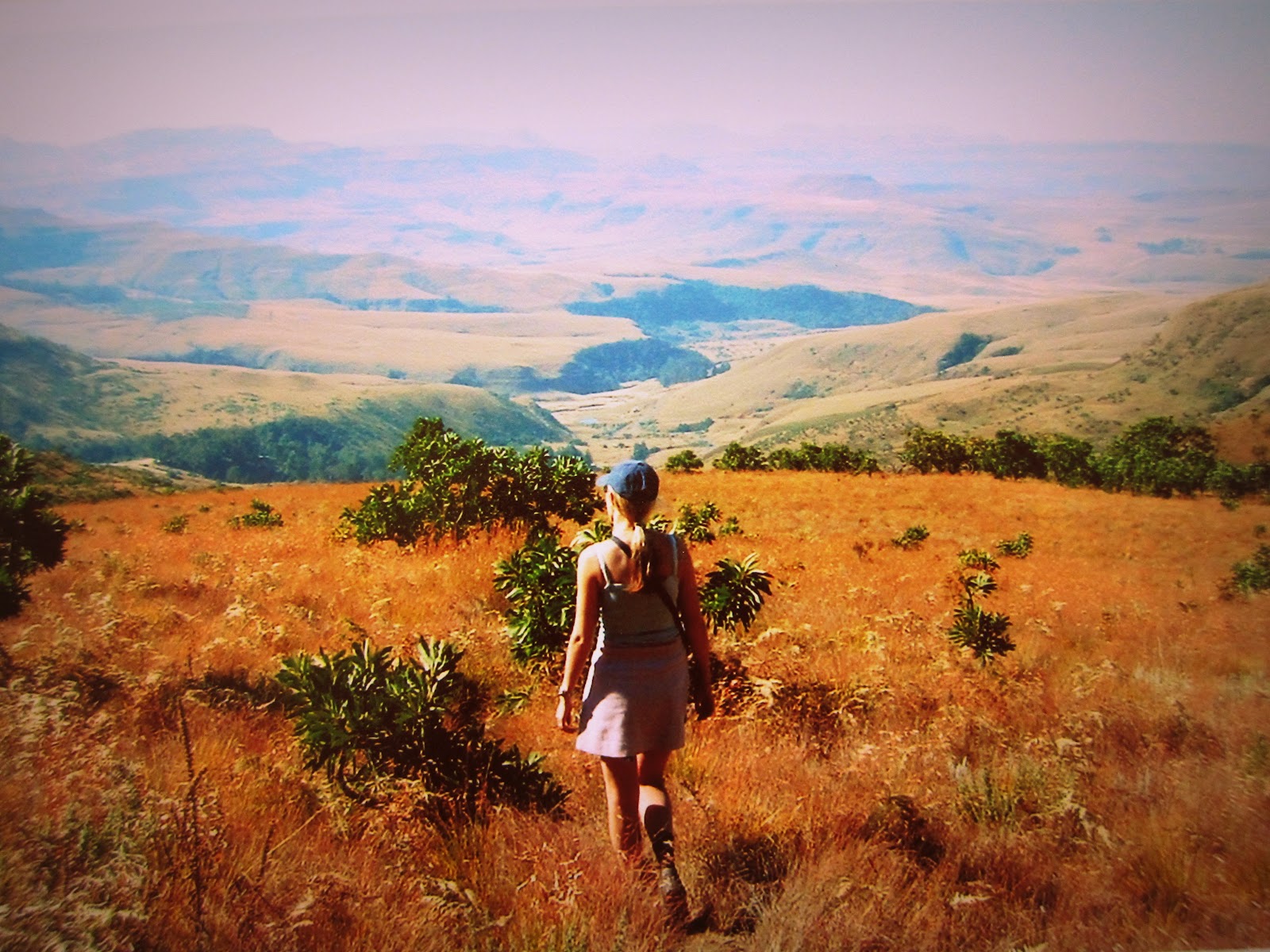 Cry The Beloved Country {and a Giveaway} | the adventures of MNMs