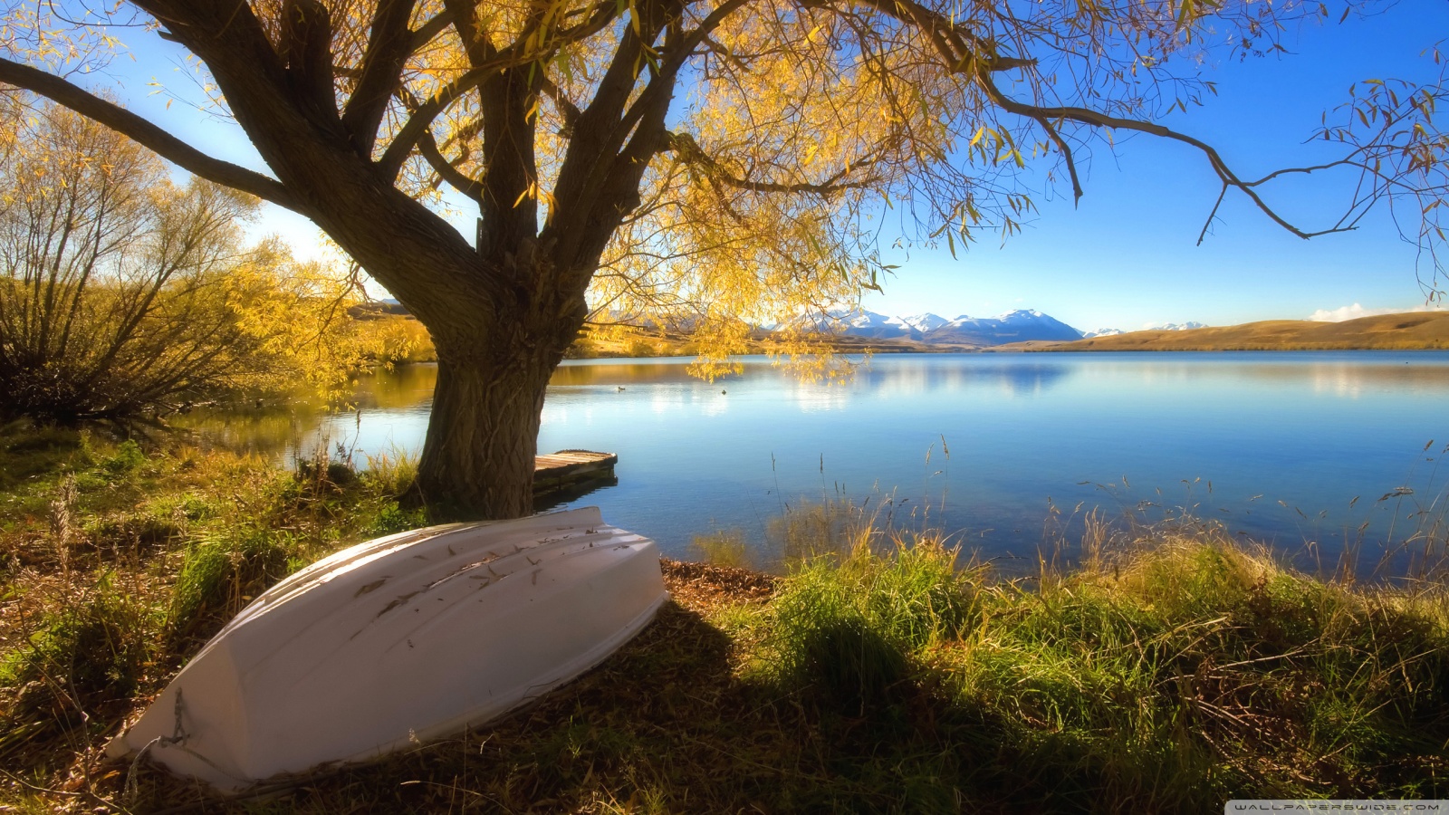 Collections: 1200X900 wallpapers