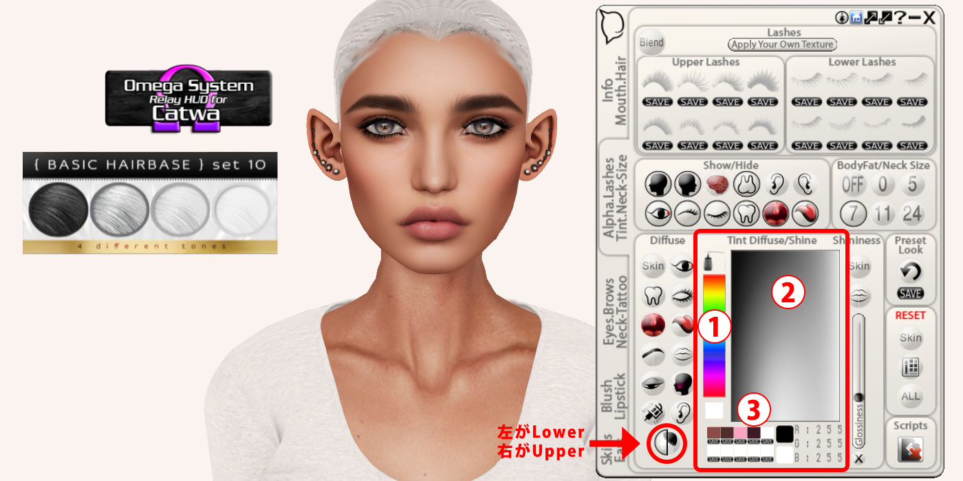 Catwaの使い方（ヘアベース） - ARTERY