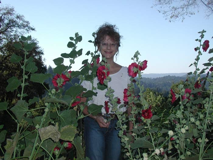 Inspired by Savannah: Children's Book Review: Blooming Buddies In the ...