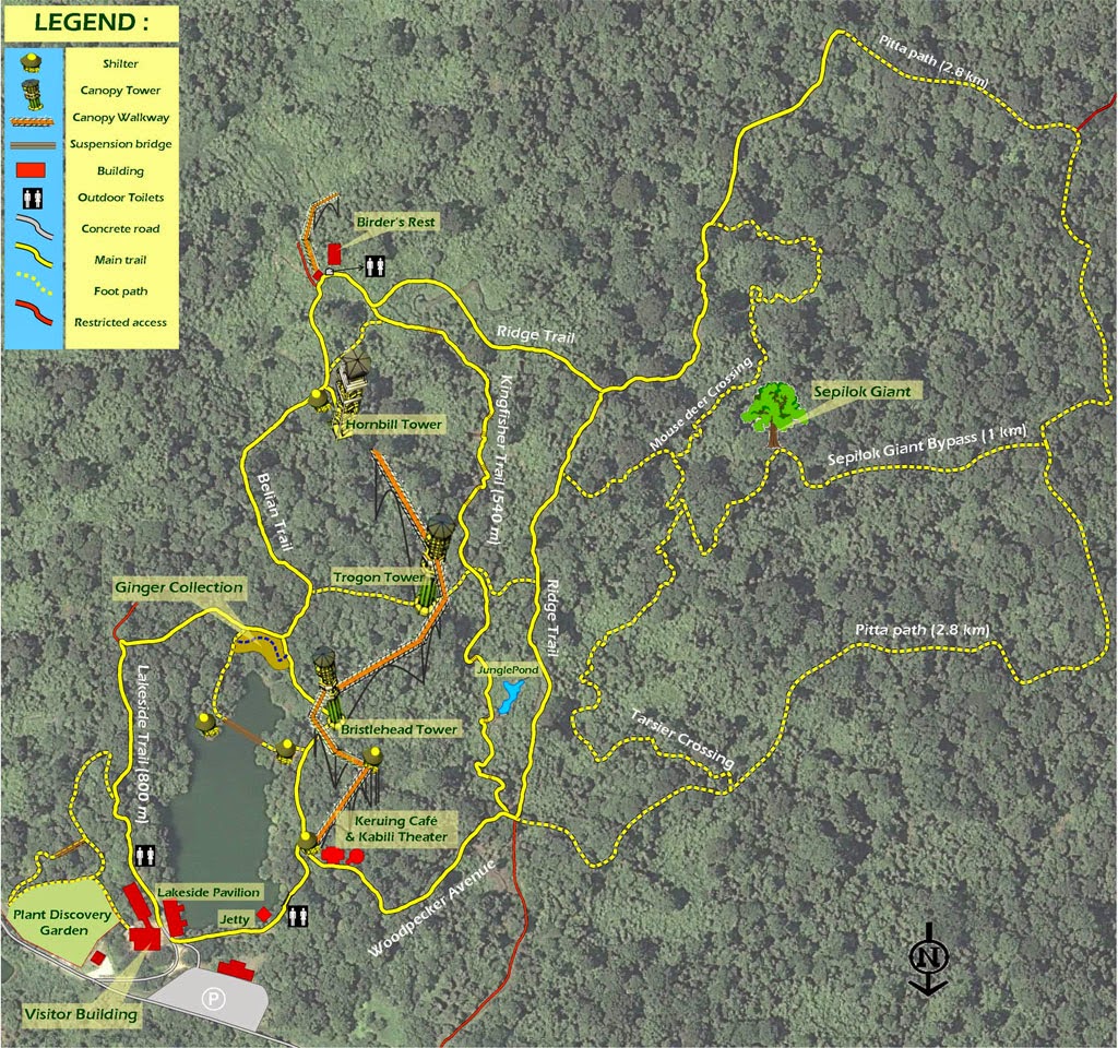 As The Crow Flies - a Hong Kong Birding Blog: Trip Report: Sepilok RDC ...