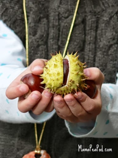 Mama Pea Pod: {Grateful for the Little Things}