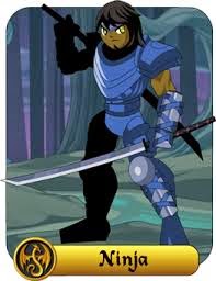 AQW Ninja Class | AQW Information