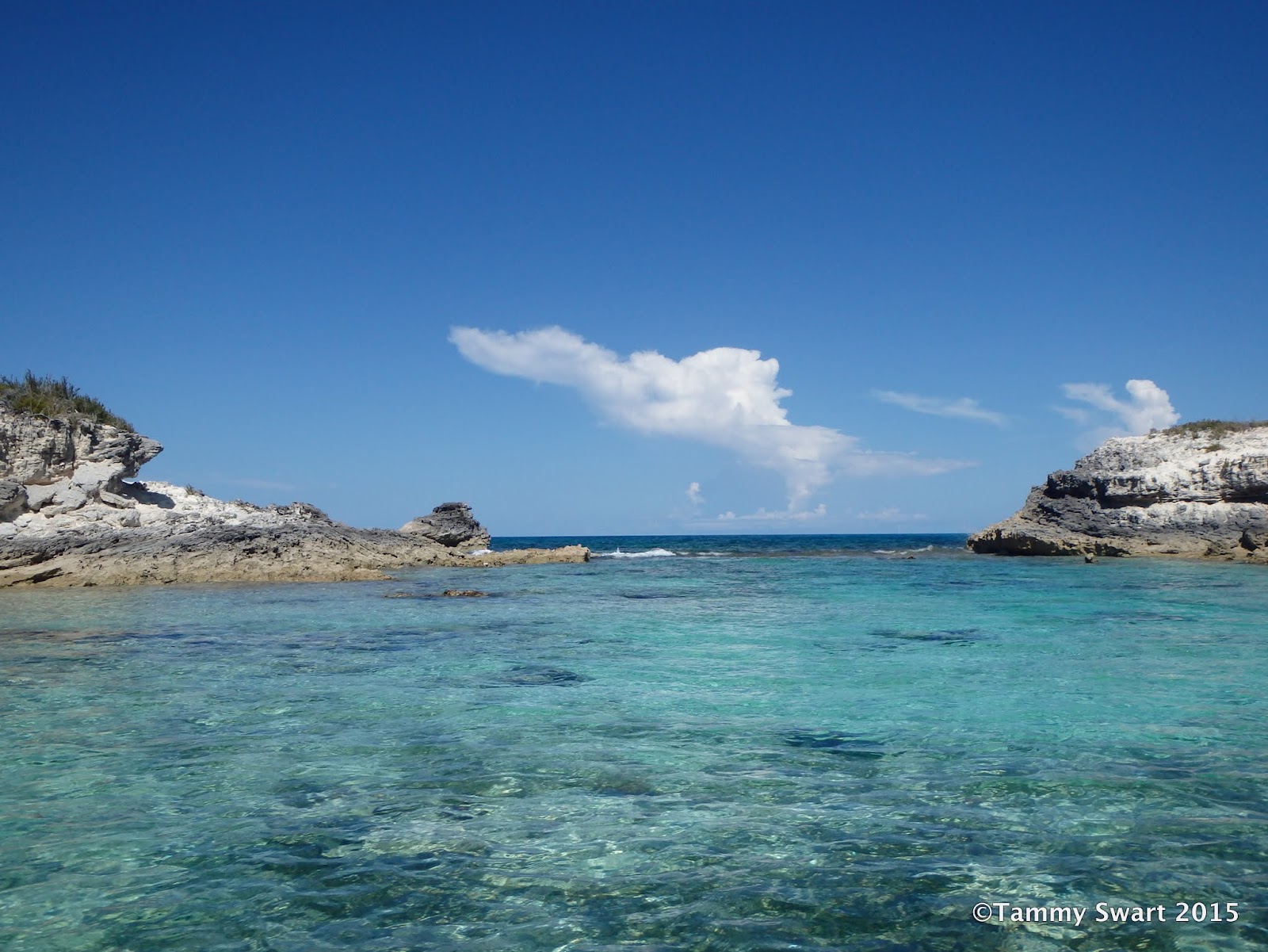 Things we did today...: A Bowl Full of Berrys