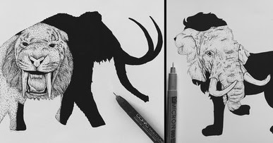 Design Stack: A Blog about Art, Design and Architecture: Wildlife Double Exposure Drawings