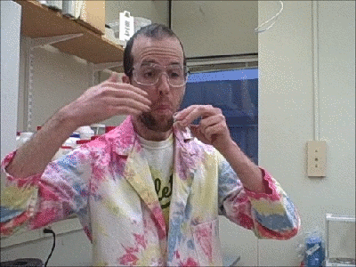 Science Minus Details: "The Shape of It All" or "Dr. Licorice Explains ...