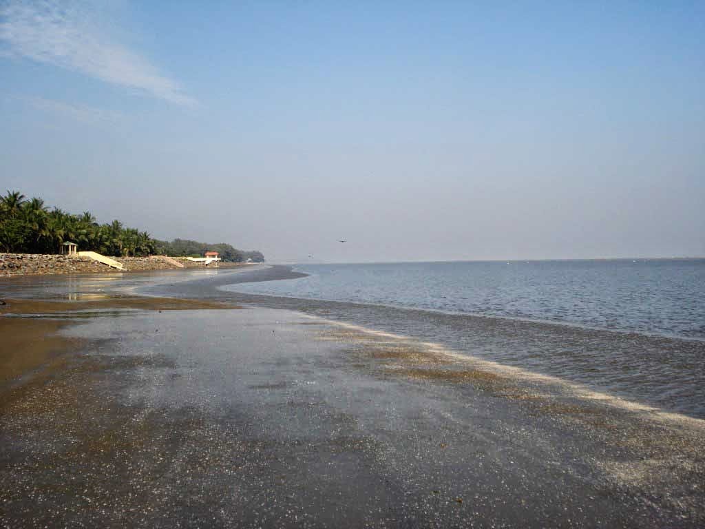 Odisha Handloom and Handicrafts: Chandipur Beach is the tourist ...