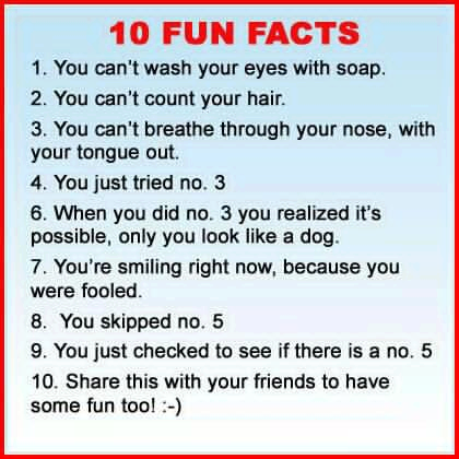 AMDI ~ 10 Funny Facts Wallpapers