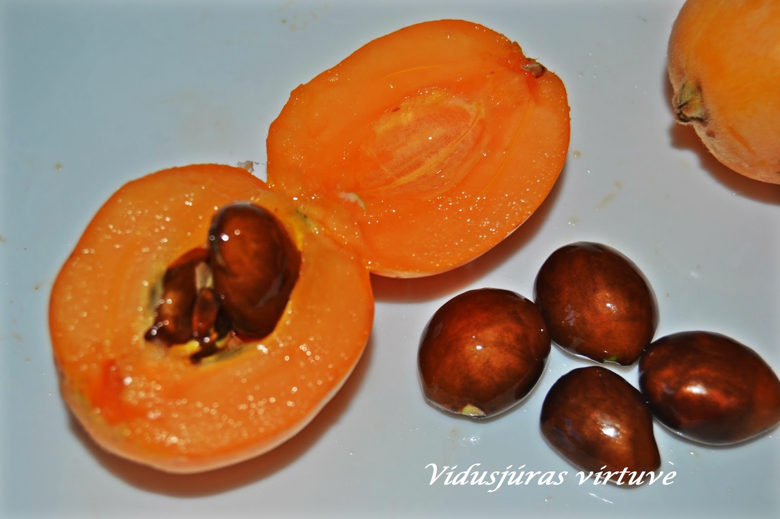 Vidusjúras virtuve: Mespils auglis (Eriobotrya japonica)