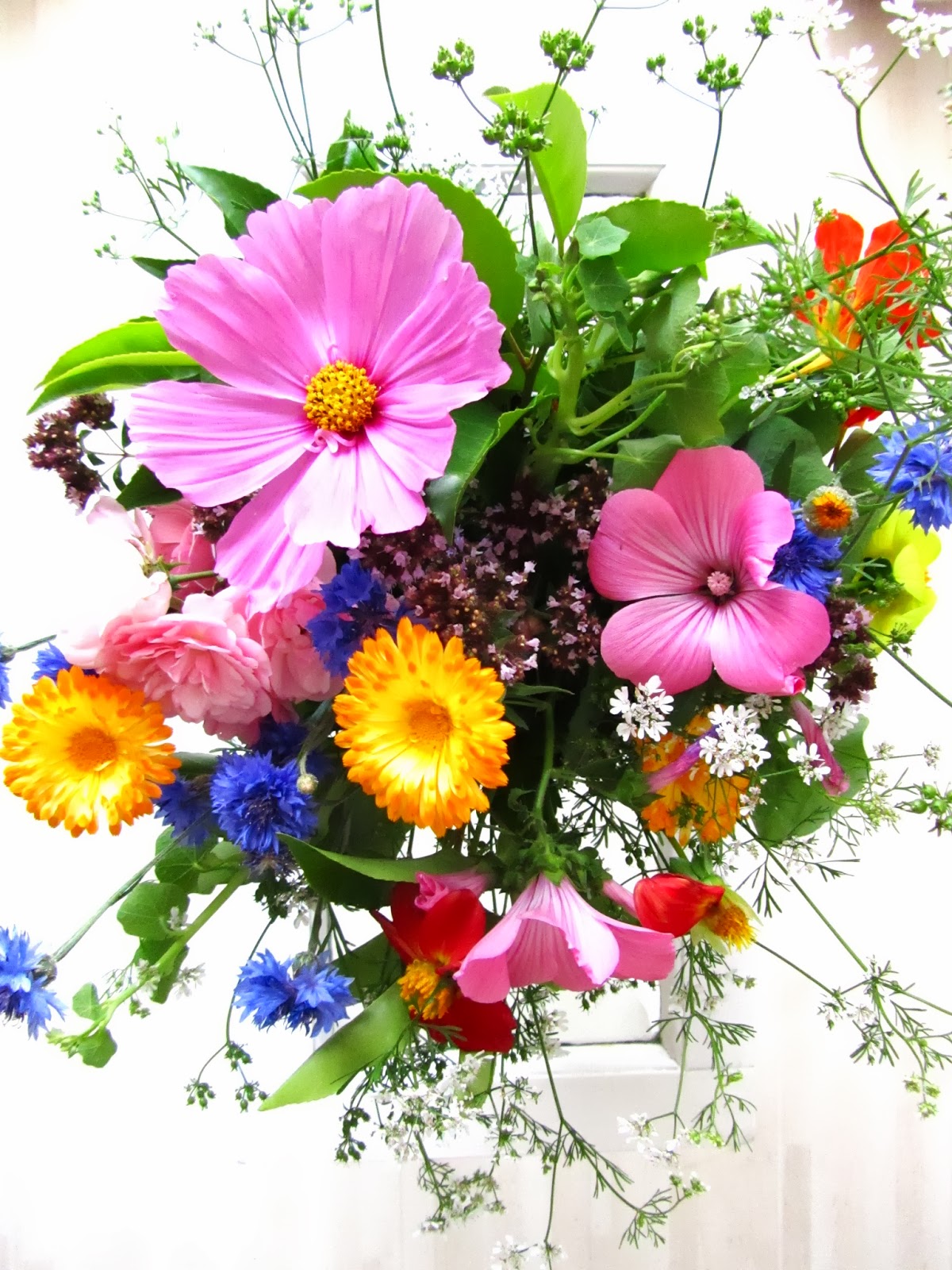 Mooiste Bos Bloemen - Bloemen