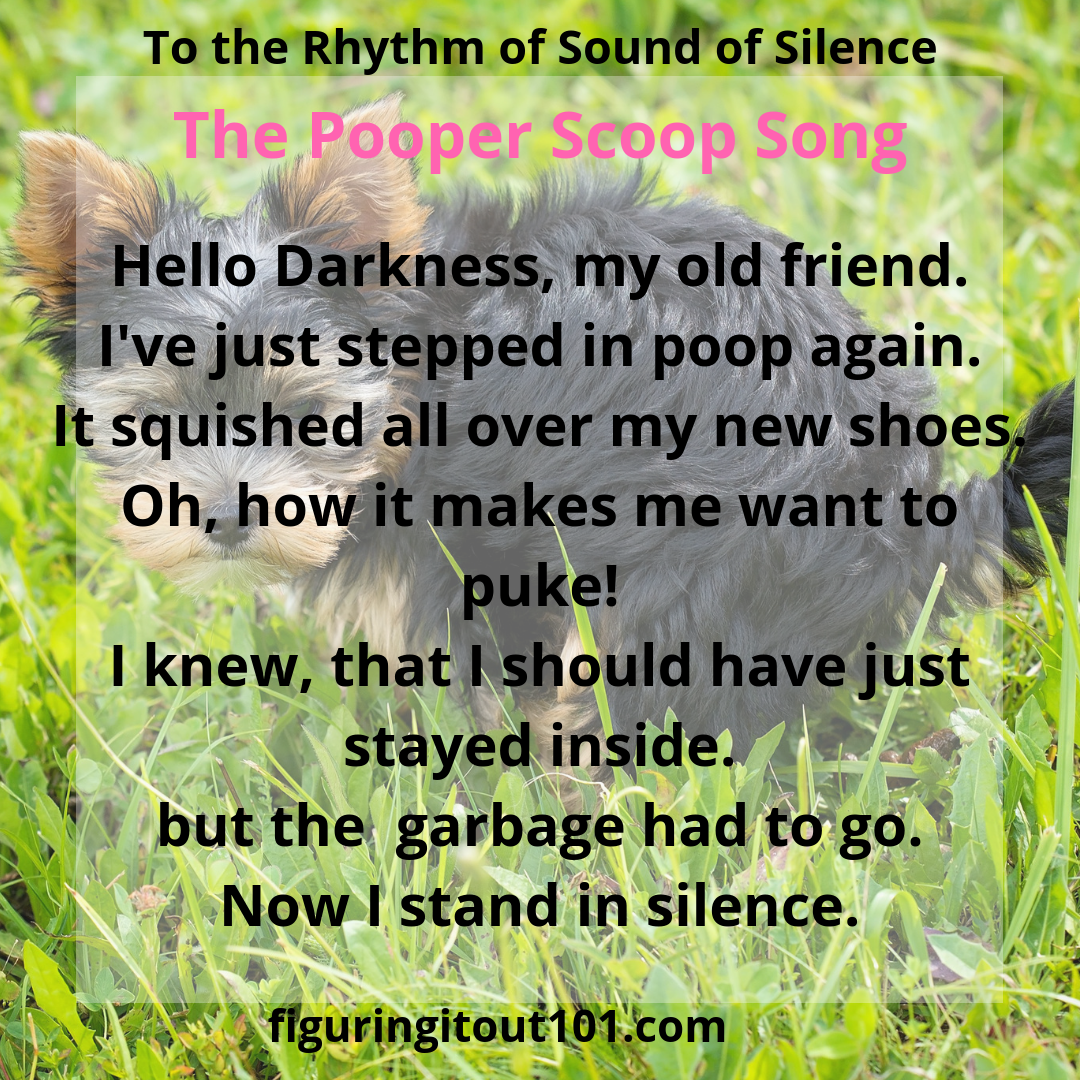 Figuring It Out 101: Song Parodies