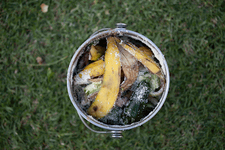 ELON SCHOENHOLZ PHOTOGRAPHY: Animated Compost