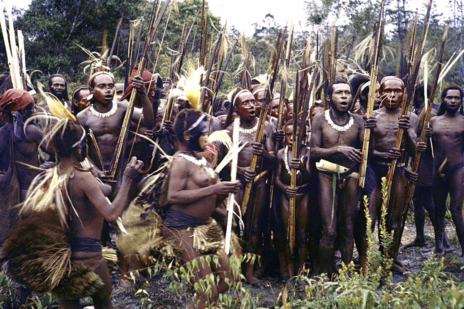 TOZALI: 5 most mysterious un-contacted tribes