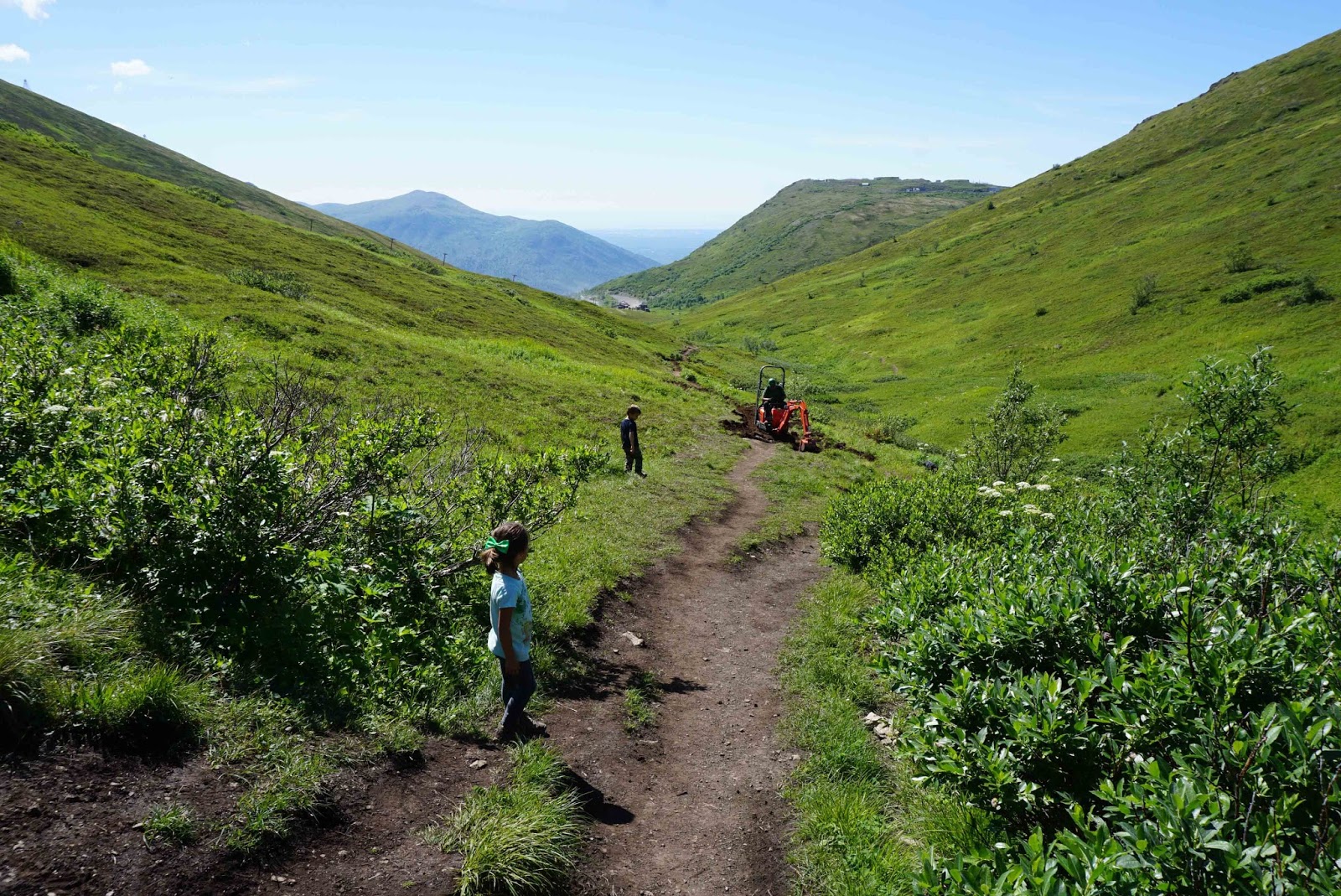The Adventures of Asher & Journey: Mt Gordon Lyon