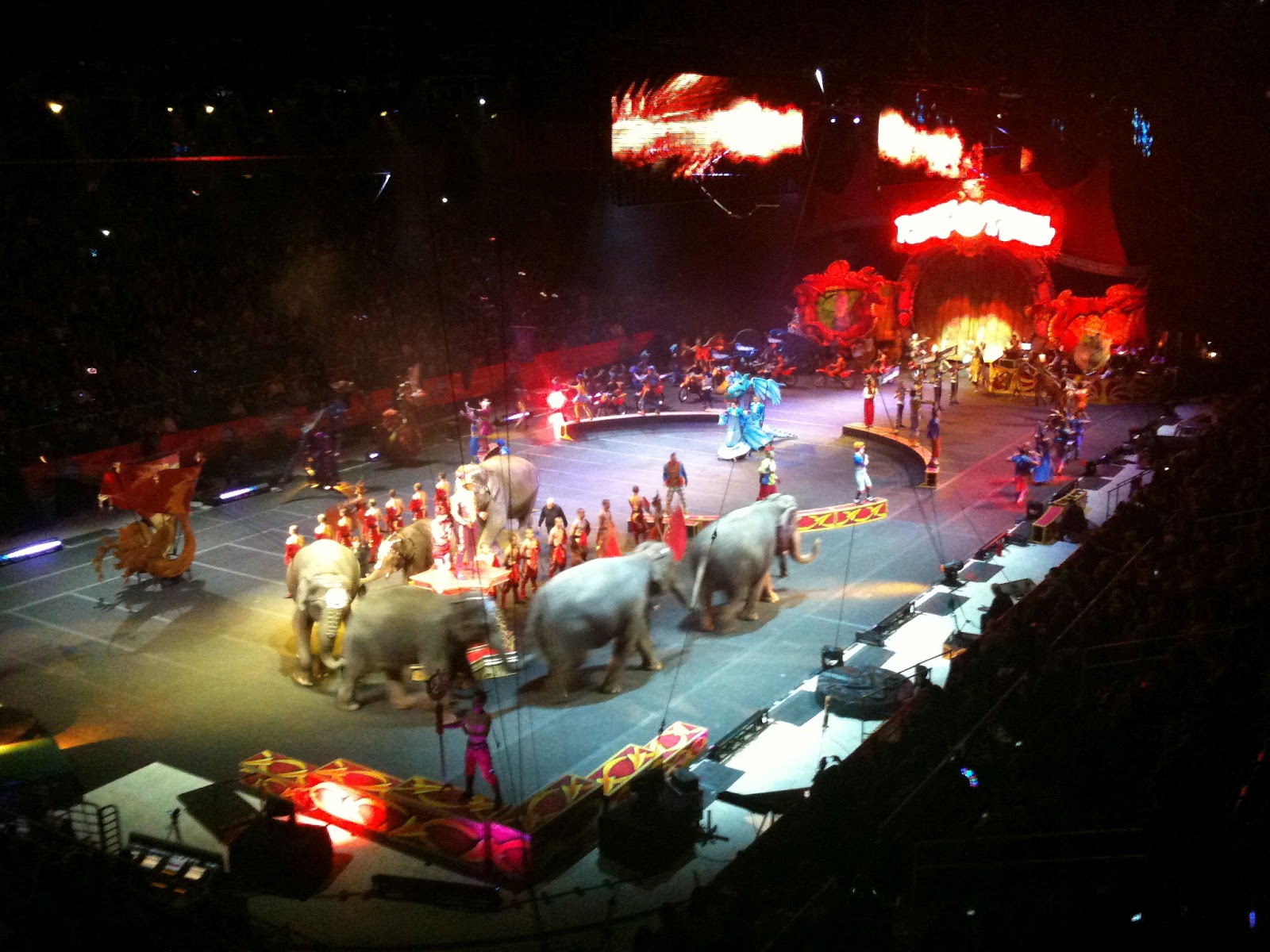 Ben + Susannah & Baby!: Baby's first Circus!