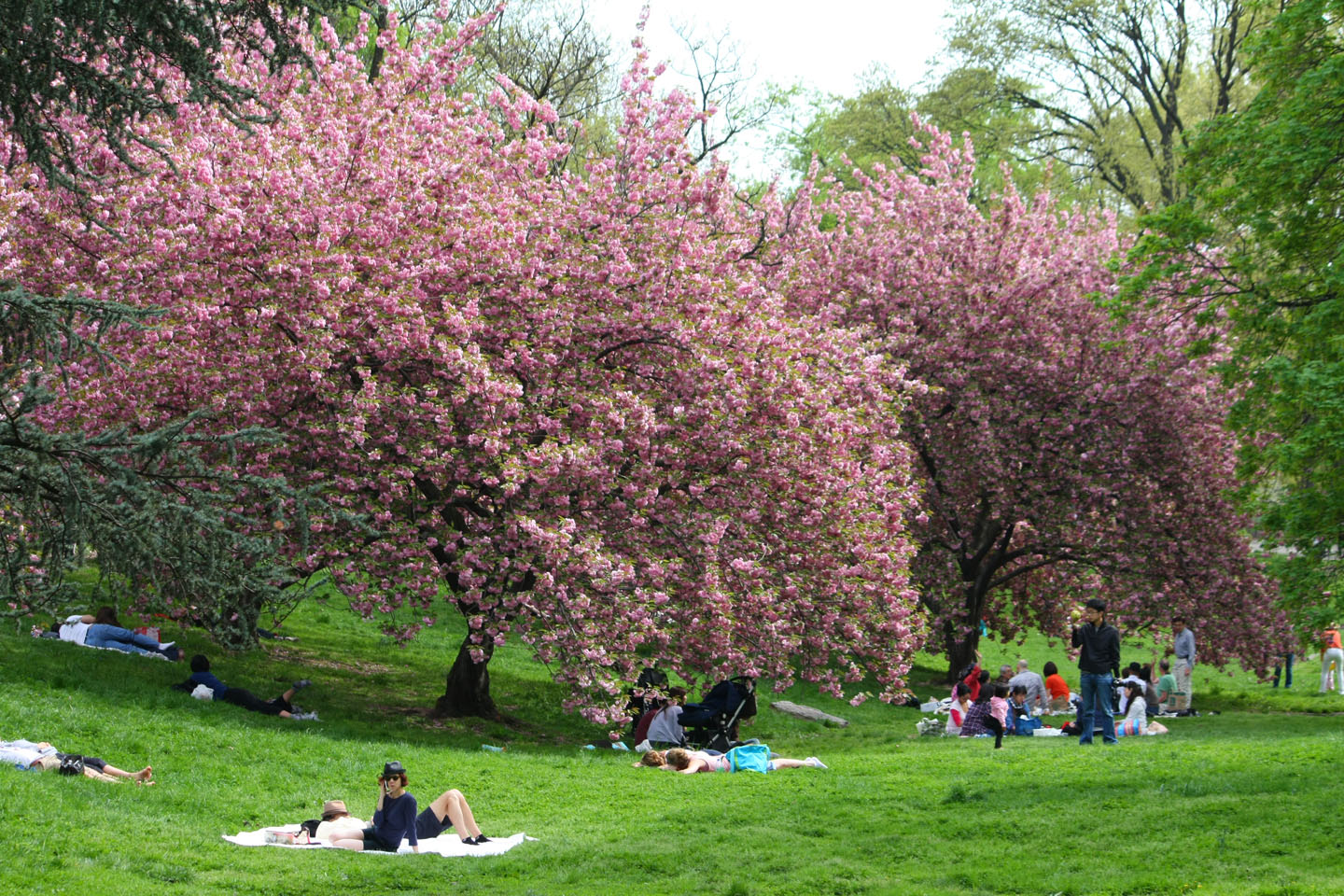 66 Square Feet (Plus): May Day, Central Park