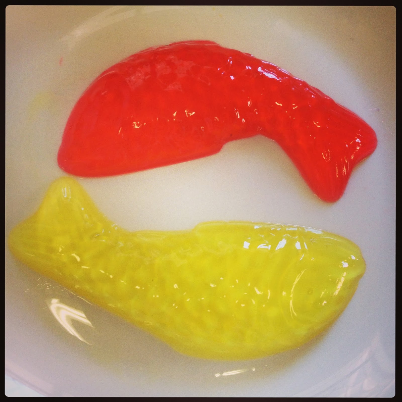 PARSHA DESSERT: Parshas Re'eh