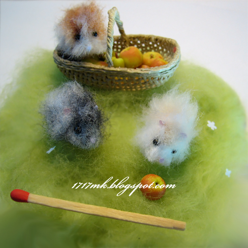 17-17 Miniatury: Najmniejsze świnki morskie ;) The smallest guinea pigs