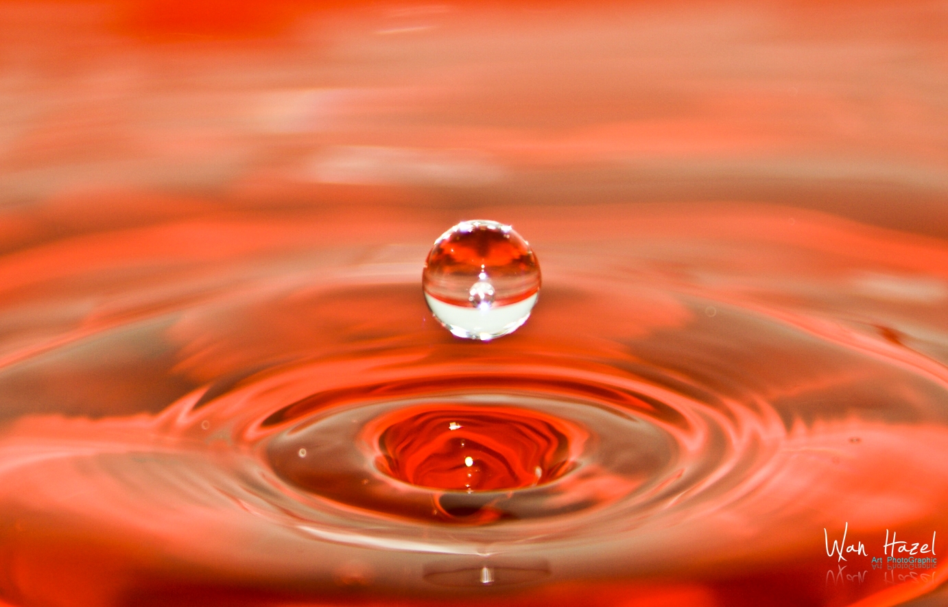 Wadah Madrasah Pengalaman: Tutorial Photography : Water Drop