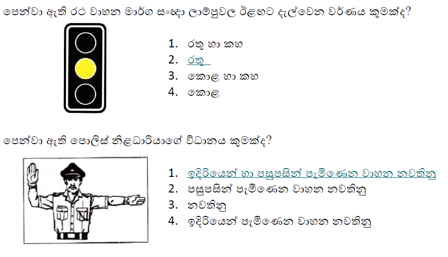 Driving License Paper and Answers