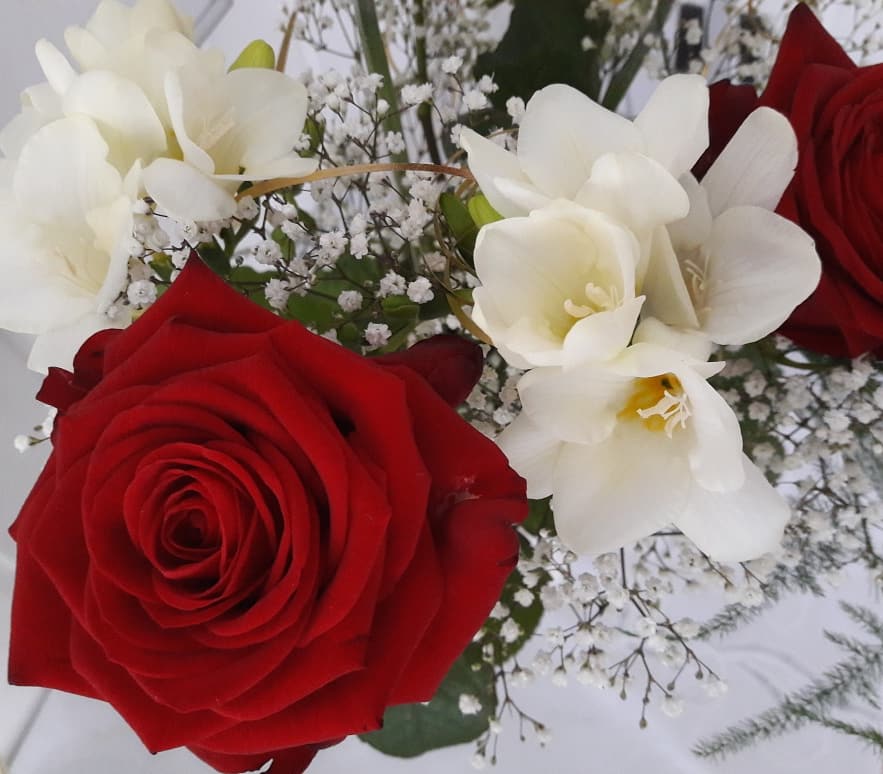 Tau(v)onpaikka: Punaisia ruusuja ja valkeita freesioita