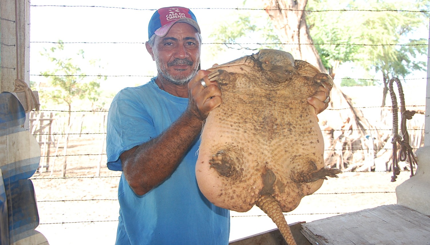 # Toni Martins - Todo mundo lê!: Foto-legenda: eis a peba mais famosa ...