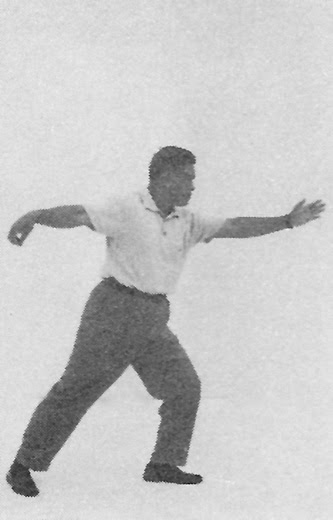 Tai Chi Chuan (Square Form) 23. Fist Under Elbow - Tai Chi Heritage