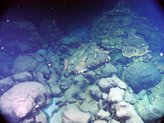 Tectonic Travels: Explorer Ridge