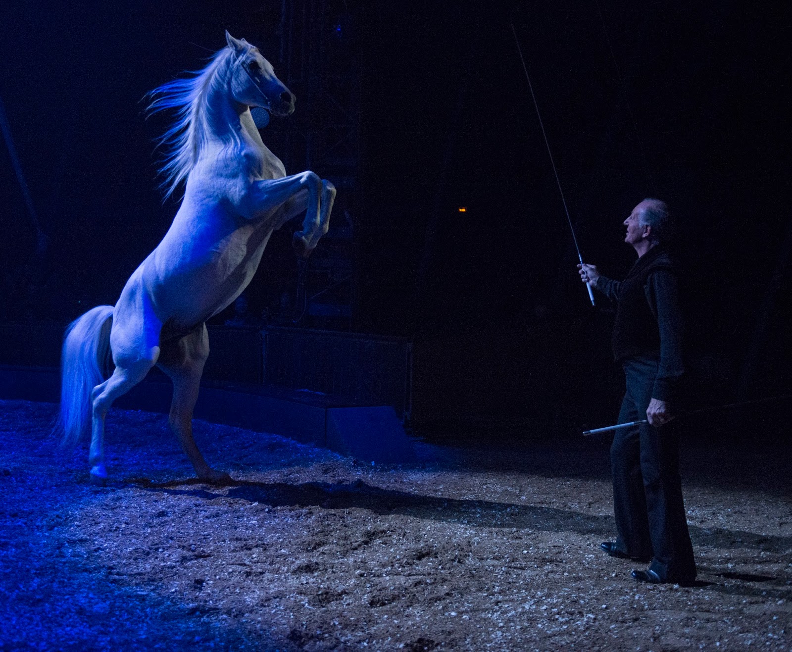 Diary de Fleur: CIRQUE ALEXIS GRUSS, PEGASE ET ICARE