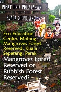 Forest Dweller: Field Trip to Matang Mangroves and Segari Melintang ...