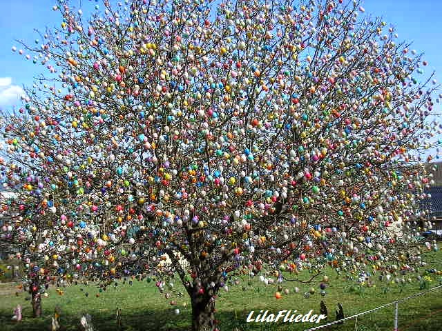 Lila-Flieder-Garten: Der Ostereier - Apfelbaum