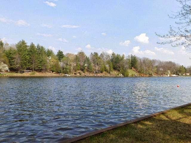 Wiggins Lake Waterfront for Sale! 4217 Betty Lee, Gladw