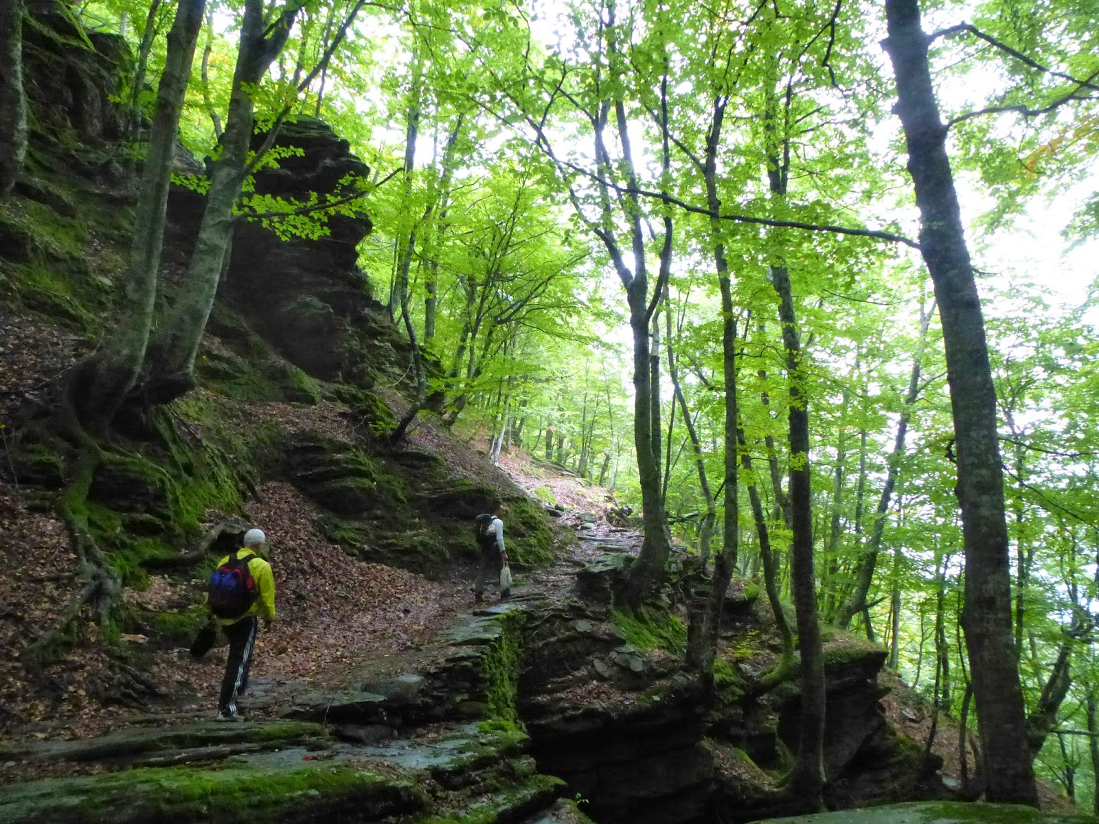 Walking in Pelion: Ano Kerasia-Alfons memorial-Flamouri monastery ...