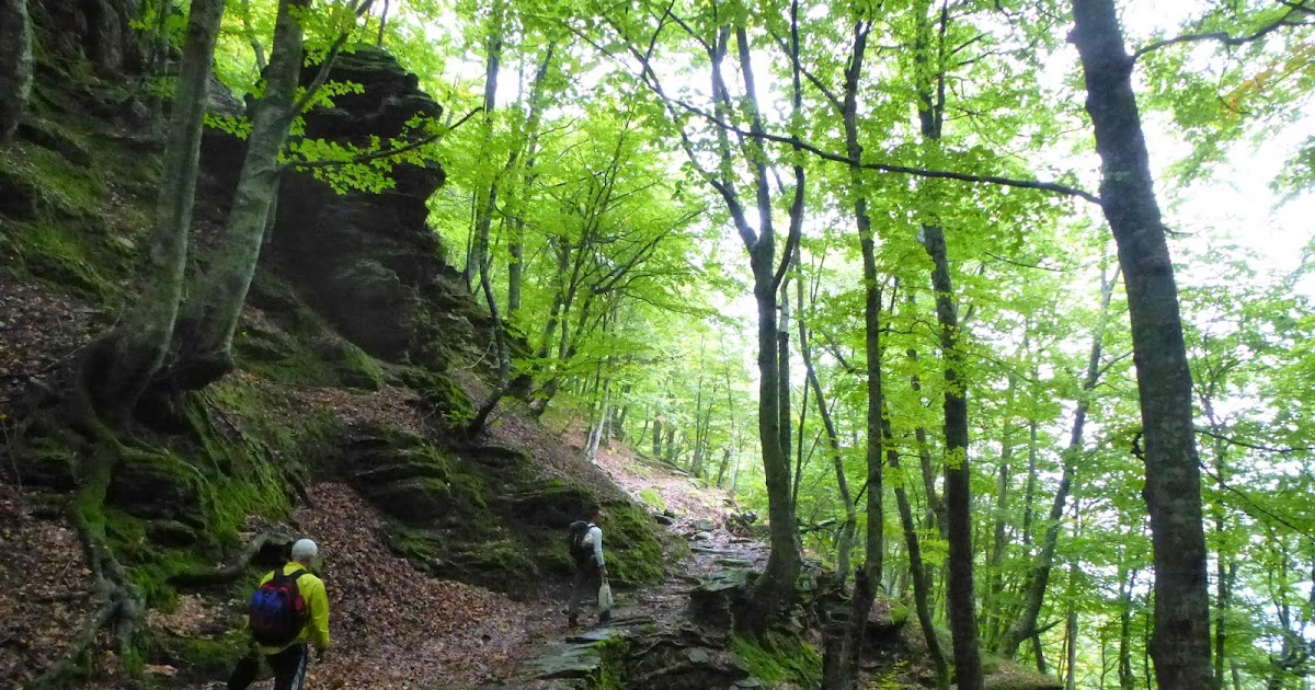 Walking in Pelion: Ano Kerasia-Alfons memorial-Flamouri monastery ...