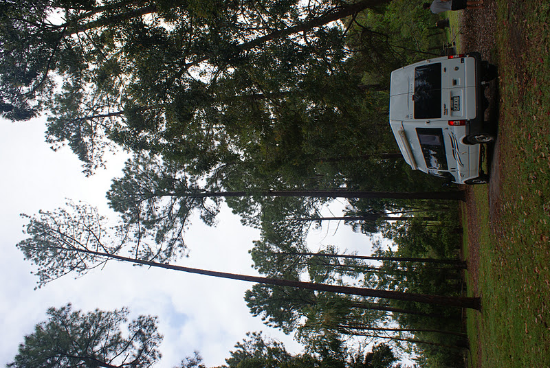 Nele & Andrew Around Oz: Red Rock Campsite, Byfield State Forest, QLDScnery
