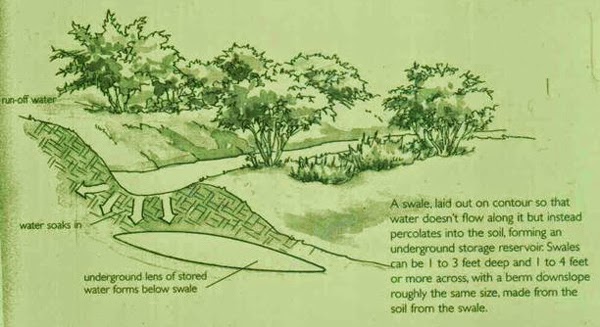 Axel Ewald - recent projects, discoveries & reflections