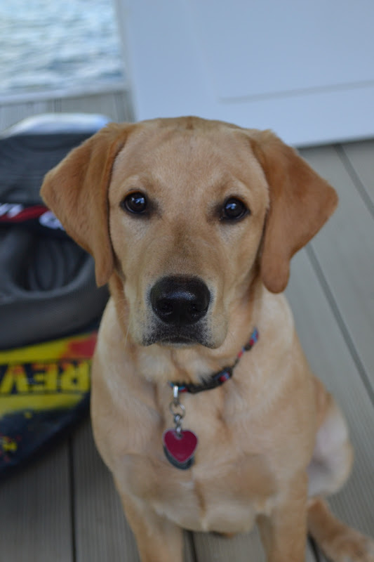 Three Pixie Lane: A Mudroom