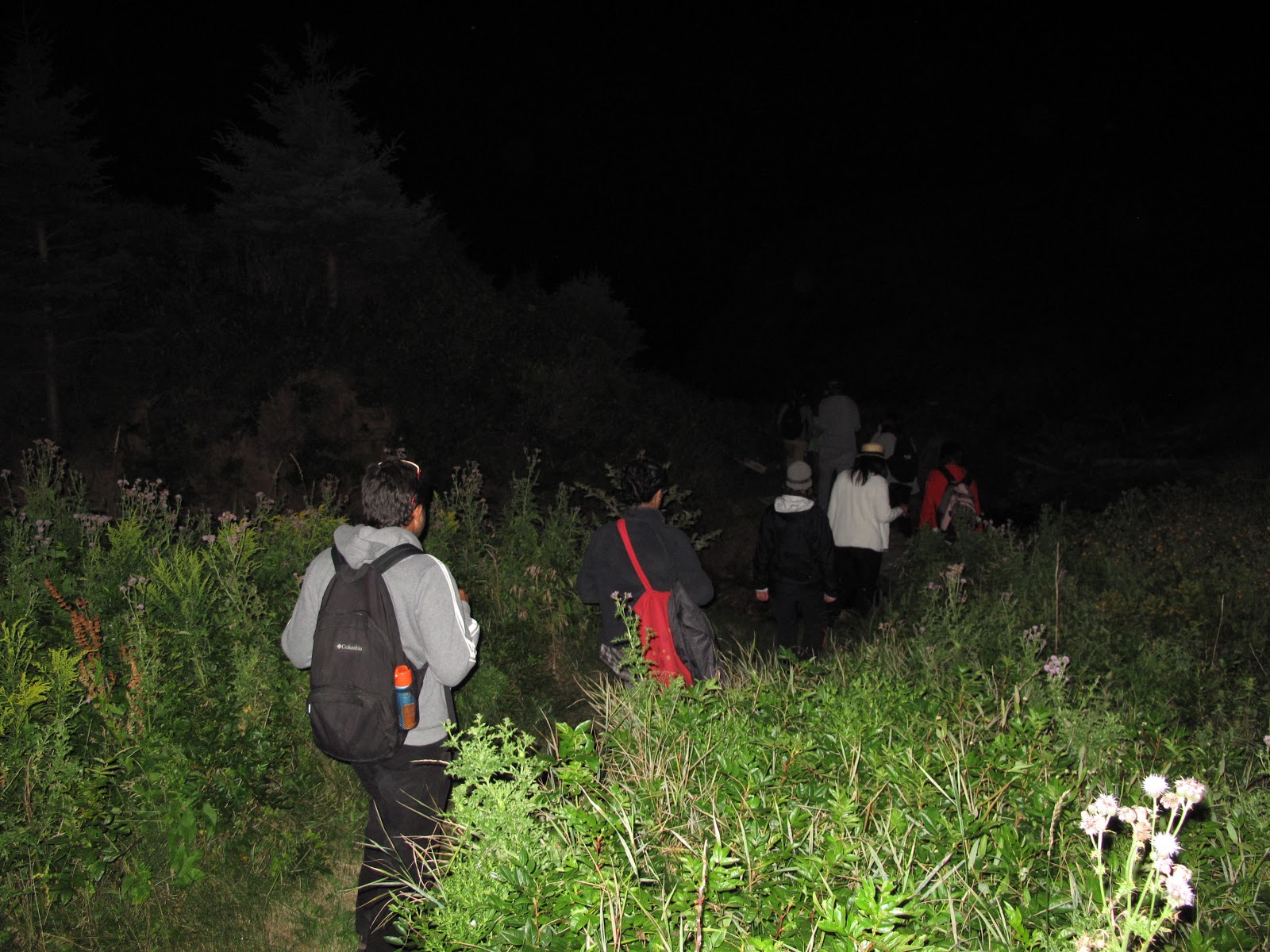 The Torontonians: Nightwalks with Teenagers