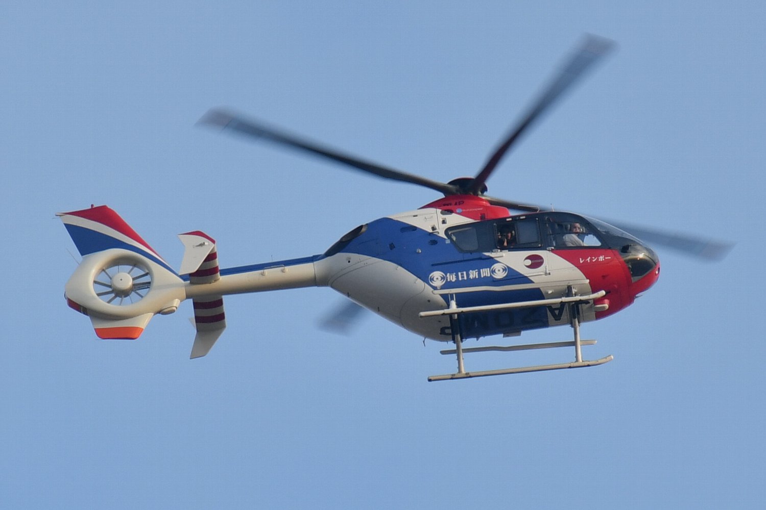 へりとりぶろぐ: まなづるの大サービス