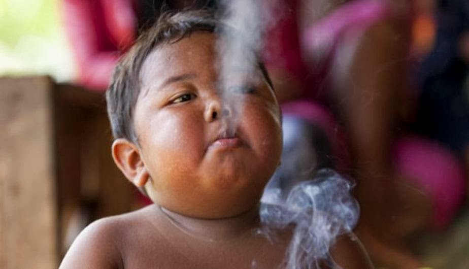 What Does The Fox Say INDONESIA Recuerdas Al Ni o De 2 A os Adicto Al Cigarro Asi Se what-does-the-fox-say-indonesia-recuerdas-al-ni-o-de-2-a-os-adicto-al-cigarro-asi-se