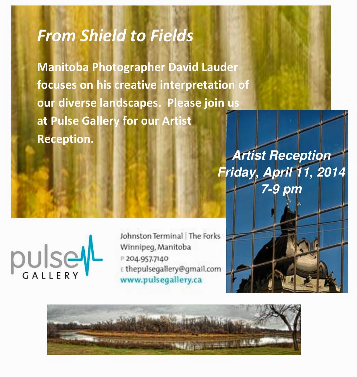 PULSE GALLERY: David Lauder--From Shield to Fields