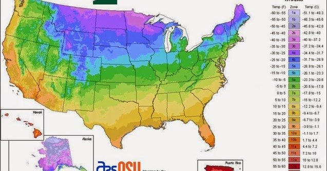 Che Cosa è l'USDA Plant Hardiness Zone? e l'AHS Heat Zone? | Il Gusto ...