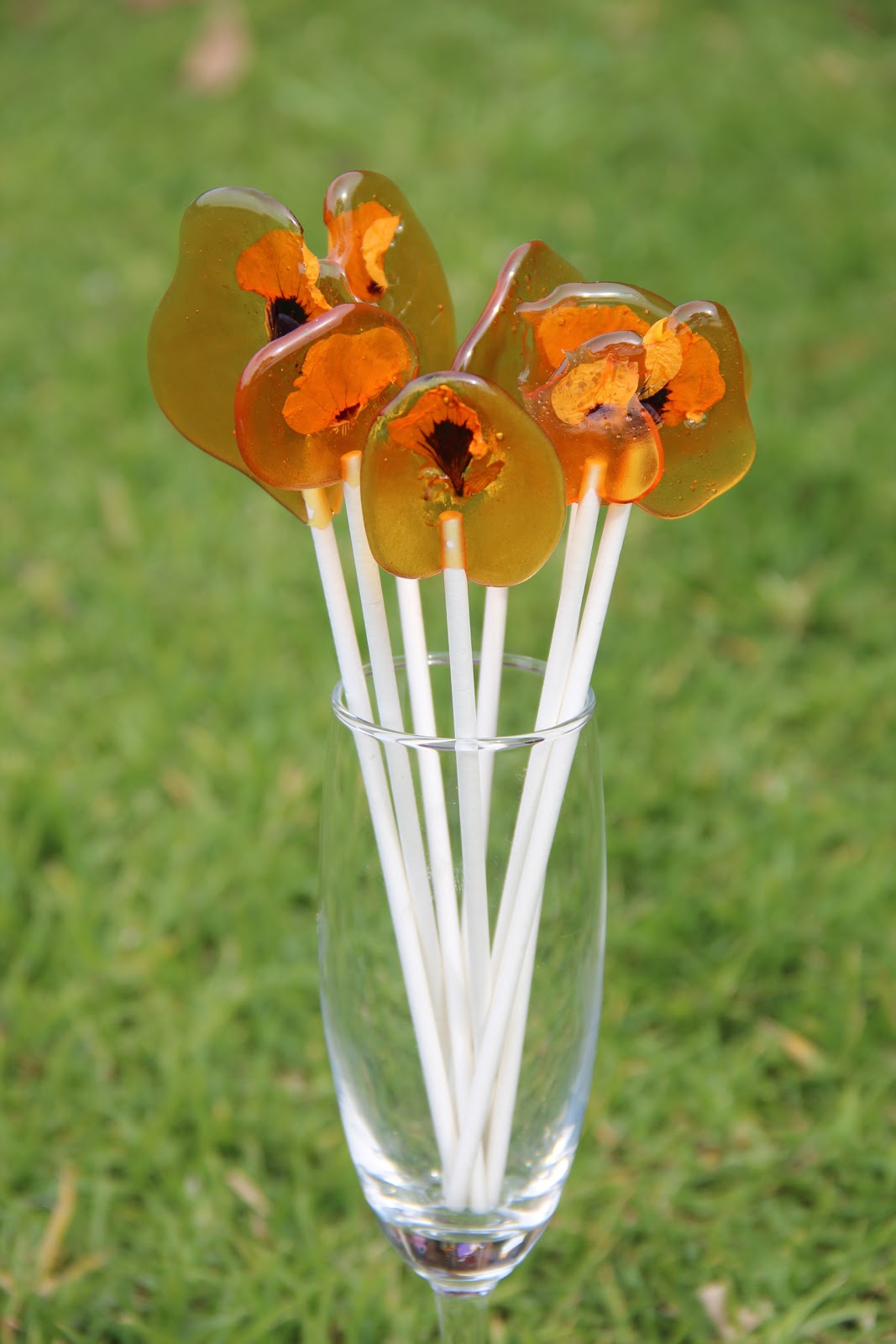 What do you do all day?: Spring!!! Edible flower lollipops