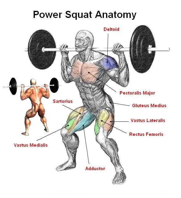 The Best Leg Exercises for Big Wheels ~ multiple fitness