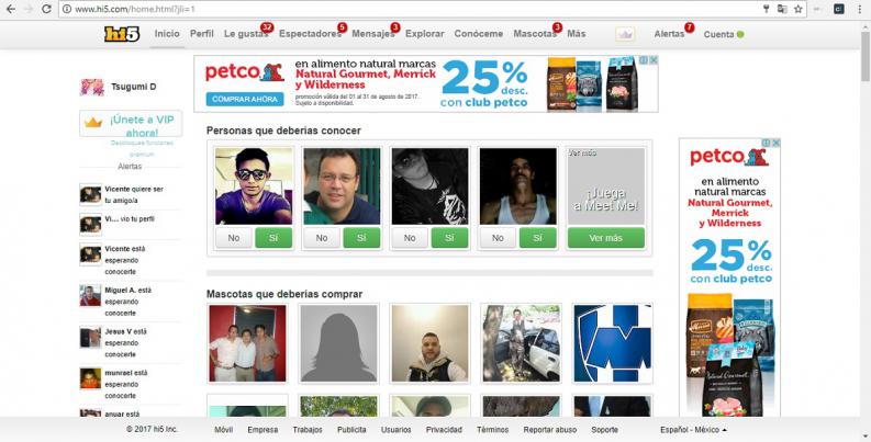 Todo sobre el Community Manager y el Social Media: Hi5