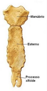 Esterno