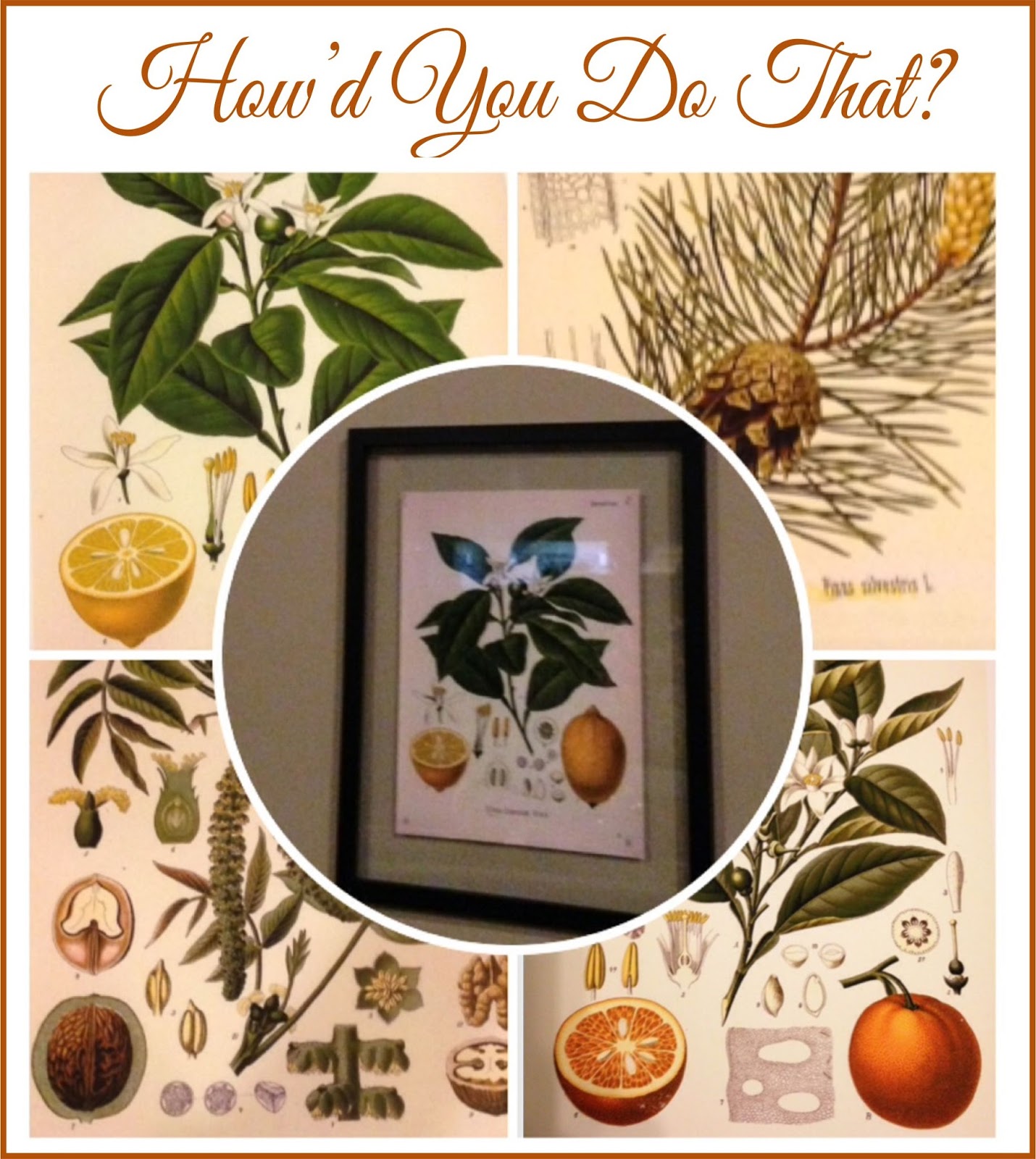 How'd You Do That?: BOTANICAL PRINTS MADE EASY