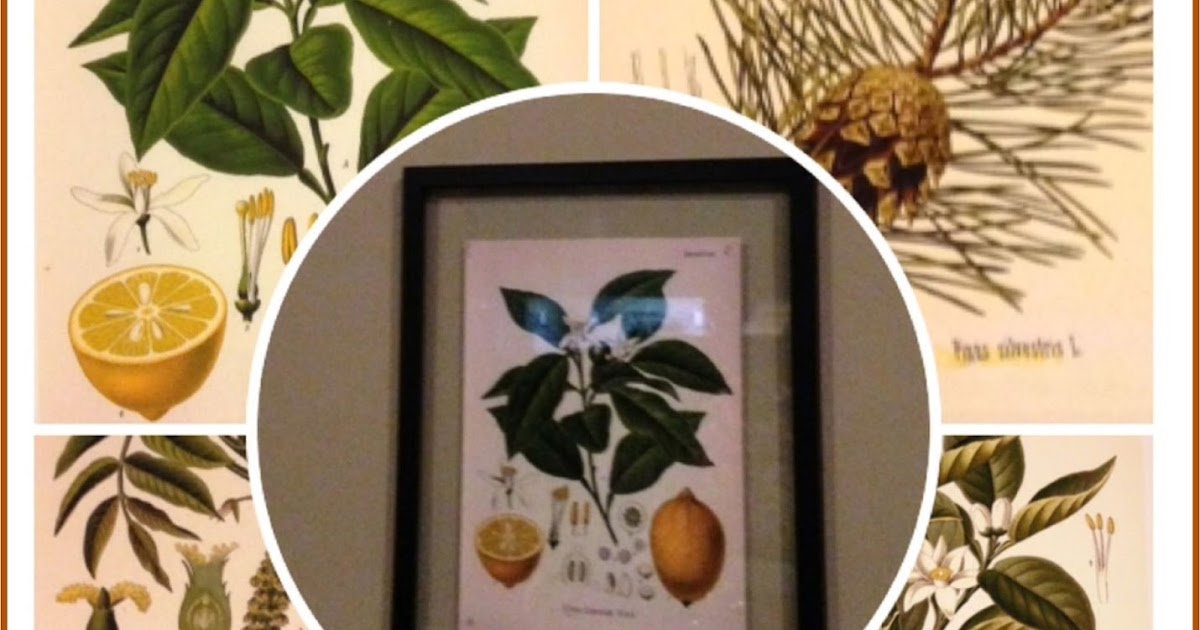 How'd You Do That?: BOTANICAL PRINTS MADE EASY