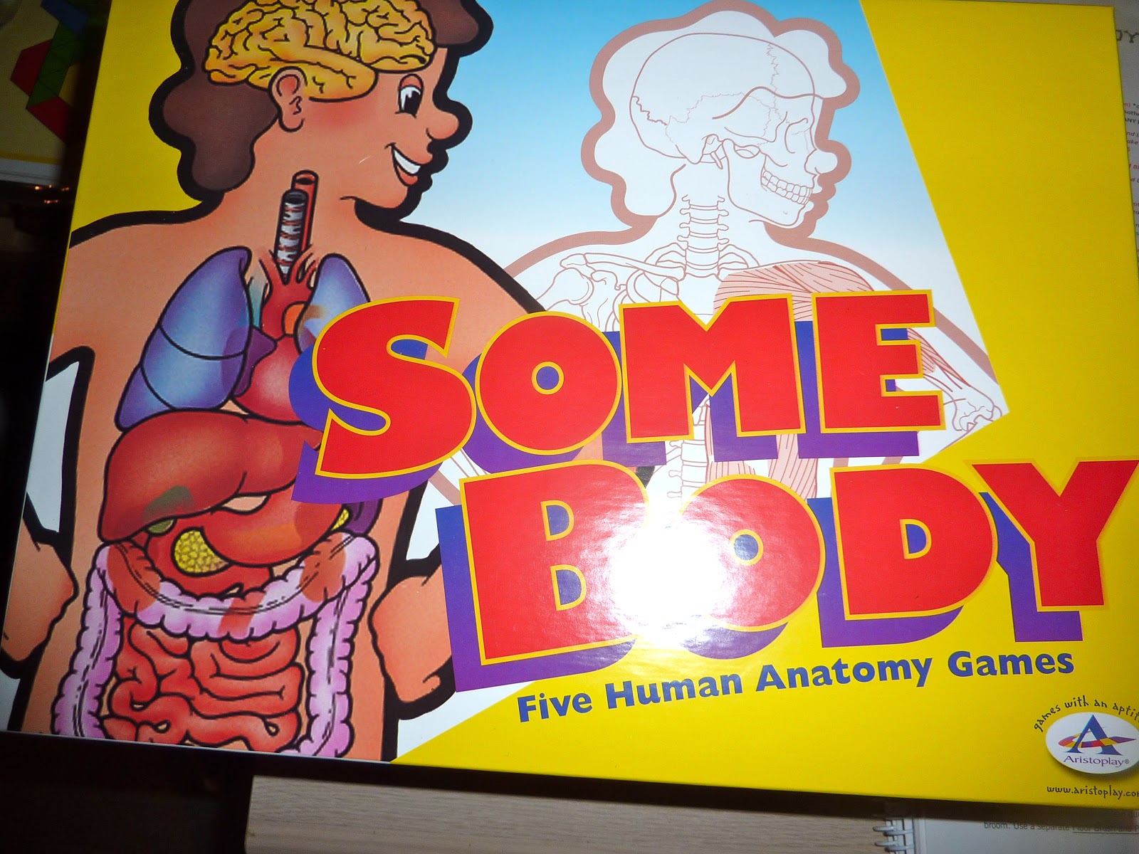 human-anatomy-muscular-system