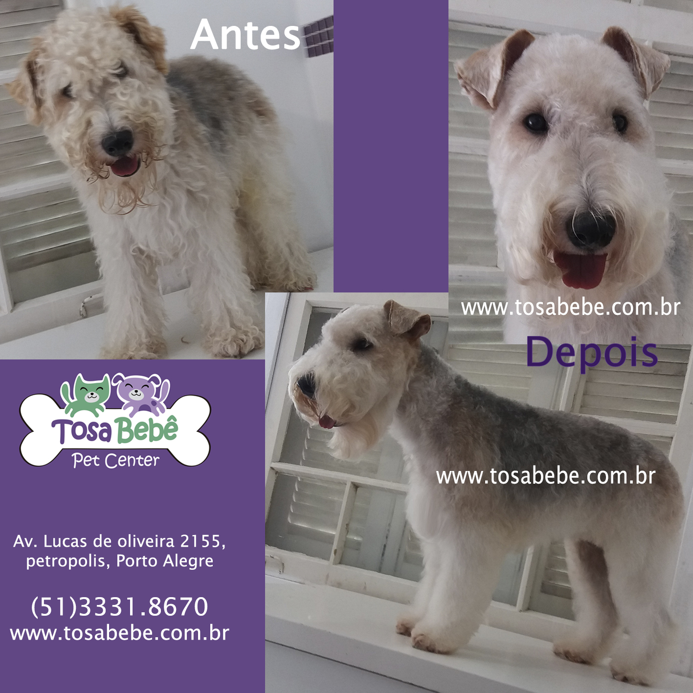 TOSA BEBÊ - TOSA VERÃO - TOSA TESOURA -TOSA PORTO ALEGRE: TOSA FOX ...